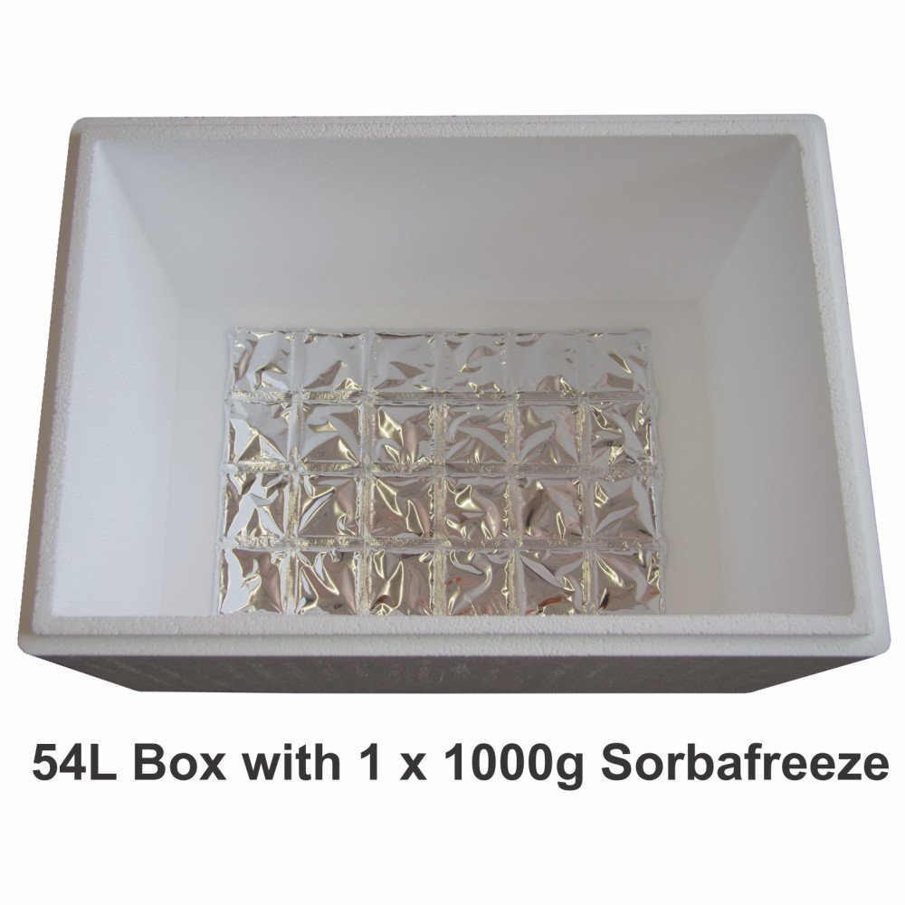 54L HoCo Polystyrene Cool Box
